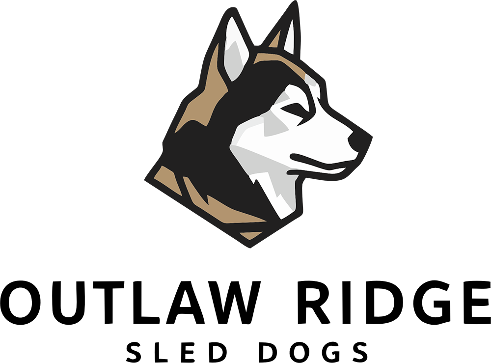 How to Get Started with Dog Sledding: A Beginner’s Guide